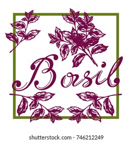 Logo Basil Letting By Hand Basil Stock Vector (Royalty Free) 746212249 ...