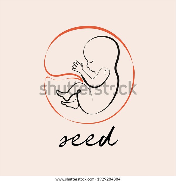 Logo Icon Depicting Human Embryo Round Stock Vector (Royalty Free ...
