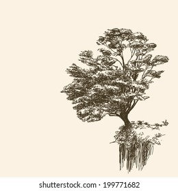 Lonely Tree On Cliff Hand Drawn Stock Vector (Royalty Free) 199771682 ...