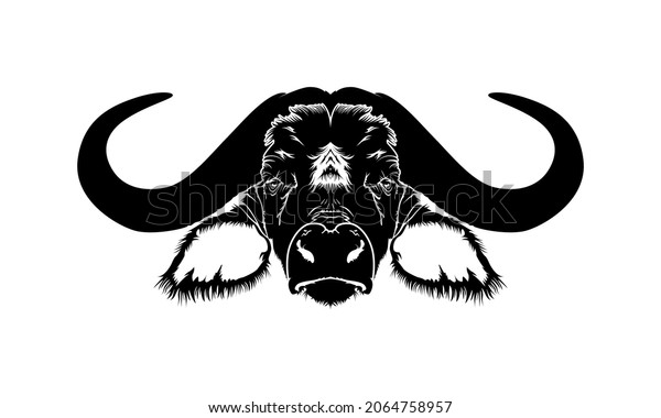 Long Horn Buffalo Head Vector Buffalo Stock Vector (Royalty Free ...
