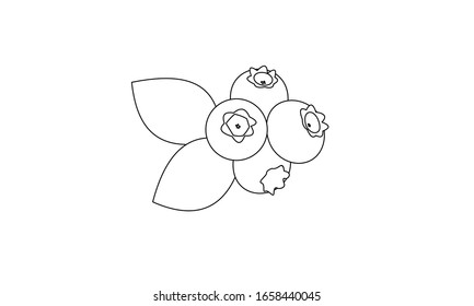 Longan Coloring Book Fruit Educate Kids Stock Vector (Royalty Free ...