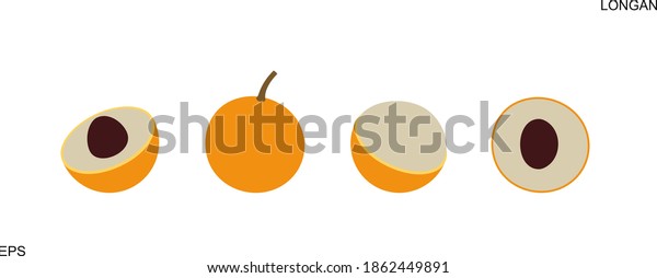 Longan Logo Isolated Longan On White Stock Vector (Royalty Free ...