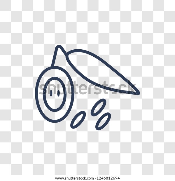 Loquat Icon Trendy Linear Loquat Logo Stock Vector (Royalty Free ...