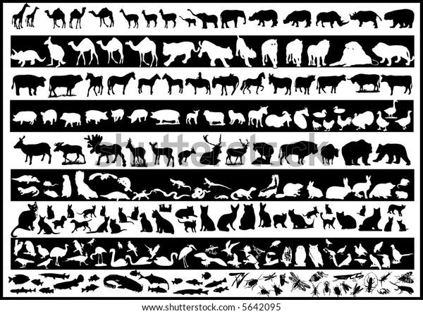 Lots Animals Vectors Silhouette Stock Vector (Royalty Free) 5642095