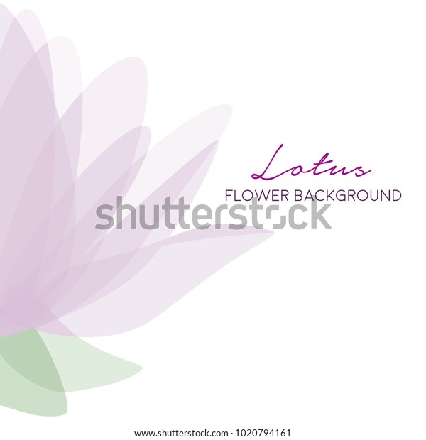 Lotus Flower Background Light Purple Lotus Stock Vector (Royalty Free ...