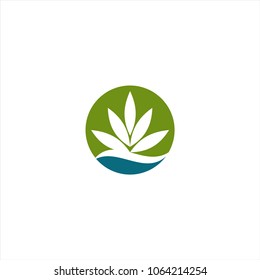 Lotus Plan Vector Illustration Stock Vector (Royalty Free) 1064214254 ...