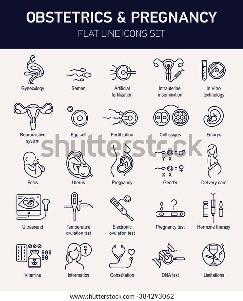 Lovely Set Obstetrics Pregnancy Flat Line Stock Vector (Royalty Free ...
