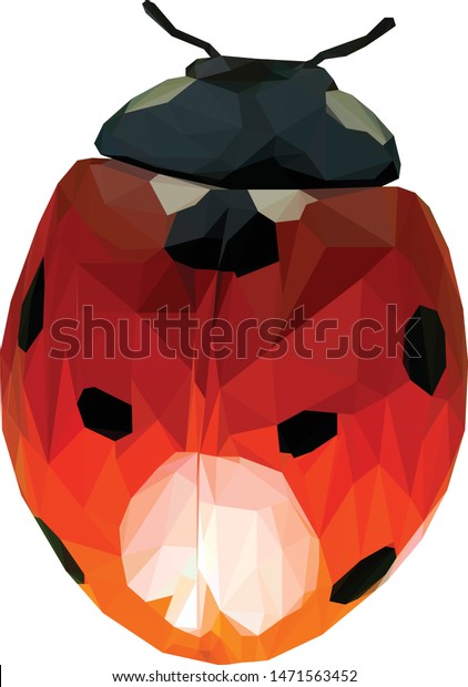 Low Poly Illustration Spotted Ladybug Stock Vector (Royalty Free ...