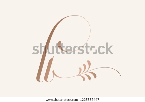 Lt Monogram Logolettering Icon Isolated On Stock Vector (Royalty Free ...