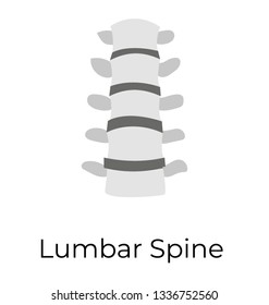 Lumbar Spine Flat Vector Icon Stock Vector (Royalty Free) 1336752560 ...