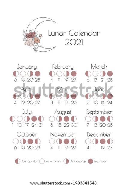 Lunar Calendar Vector Illustration Moon Phases Stock Vector (Royalty ...
