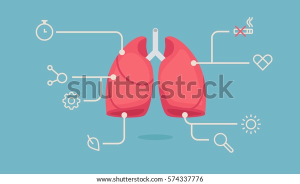Lungs Infographic Vector Illustration Stock Vector (Royalty Free ...