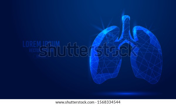Lungs Internal Organ Human Geometric Lines Stock Vector (Royalty Free ...