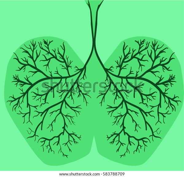 Lungs Tree Branches Green Background Vector Stock Vector (Royalty Free ...