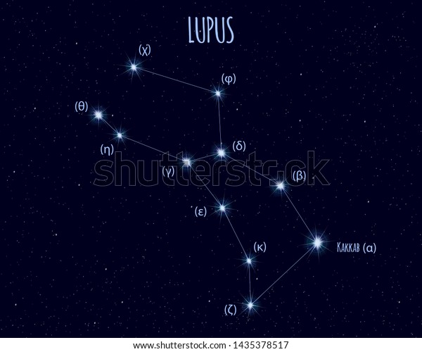Lupus Wolf Constellation Vector Illustration Basic Stock Vector ...