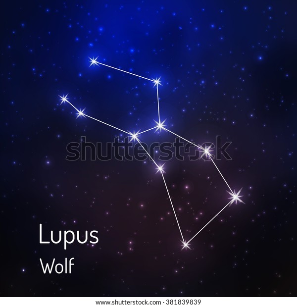 Lupus Wolf Constellation Night Starry Sky Stock-vektor (royaltyfri) 381839839 | Shutterstock