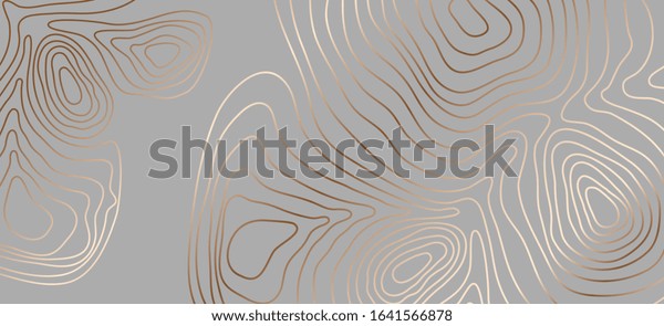 Luxury Gold Abstract Topographic Map Background Stock Vector (Royalty ...