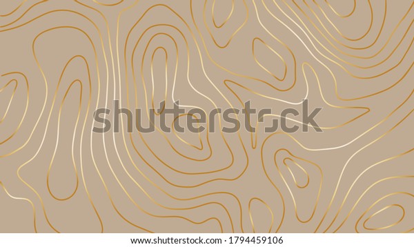Luxury Gold Abstract Topographic Map Background Stock Vector (Royalty ...