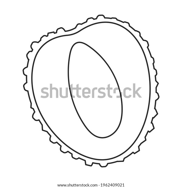 Lychee Vector Outline Icon Vector Illustration Stock Vector (Royalty ...