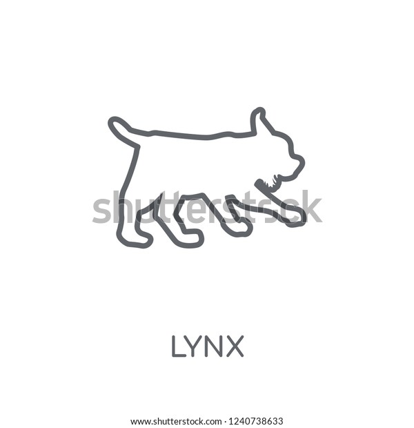 Lynx Linear Icon Modern Outline Lynx Stock Vector (Royalty Free ...