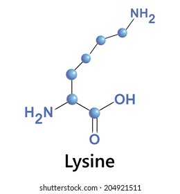 Lysine Molecule Structure Medical Vector Illustration : image ...