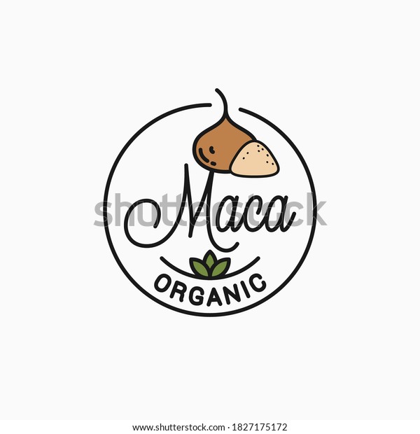 Maca Logo Round Linear Logo Maca: стоковая векторная графика (без ...