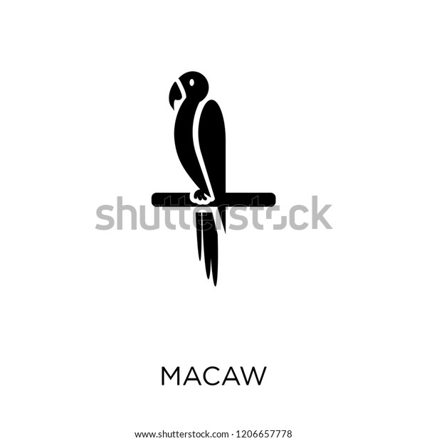 Macaw Icon Macaw Symbol Design Animals Stock Vector (Royalty Free ...