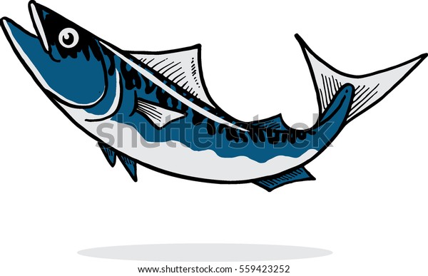Mackerel Fish Drawing Illustration 스톡 벡터(로열티 프리) 559423252 | Shutterstock