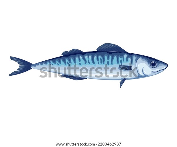 Mackerel Vector Illustration Cartoon Isolated Fresh: стоковая векторная ...