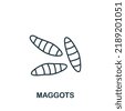20+ Thousand Maggot Royalty-Free Images, Stock Photos & Pictures ...