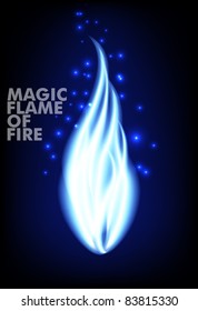 Realistic Fire Flames On Transparent Background 库存矢量图（免版税）361329290 ...