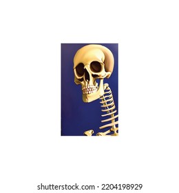 Magic Human Skeletons Check Eps Vector Stock Vector (Royalty Free ...
