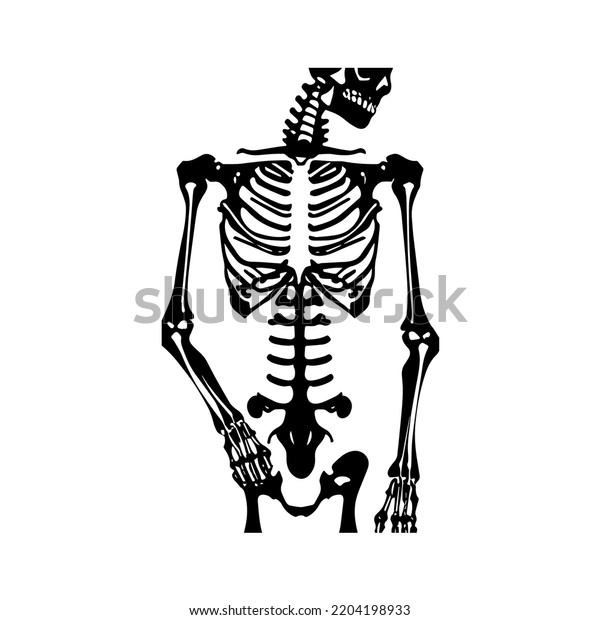 Magic Human Skeletons Check Eps Vector Stock Vector (Royalty Free ...