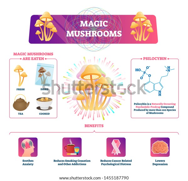 Magic Mushrooms Vector Illustration Labeled Poison Stock Vector ...