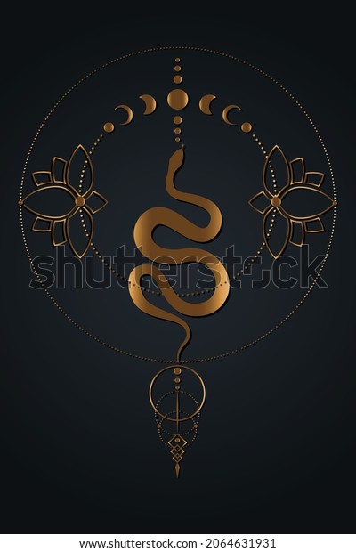 Magic Mystic Snake Moon Phases Sacred Stock Vector (Royalty Free ...