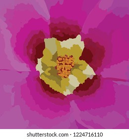 Magnified Flower Image Stock Vector (Royalty Free) 1224716110 ...