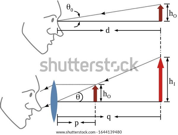 Magnifying Glass Human Eye Converging Lens Stock Vector (Royalty Free ...