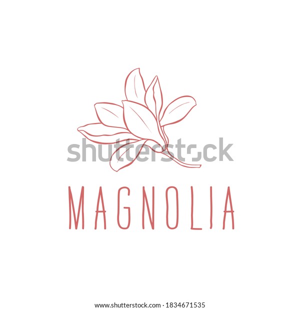 Magnolia Logo Vector Logo Template Flower Stock Vector (Royalty Free ...