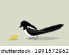 4,271 Australian Magpie Images, Stock Photos, 3D objects, & Vectors ...