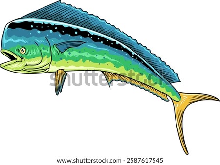 Mahi Mahi Drawing | Free download on ClipArtMag