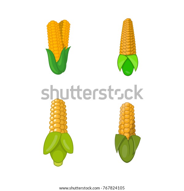Maize Icon Set Cartoon Set Maize Stock Vector (Royalty Free) 767824105 ...