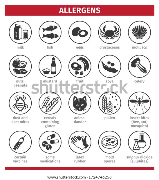 Major Allergens What Causes Allergies Template Stock Vector (Royalty ...