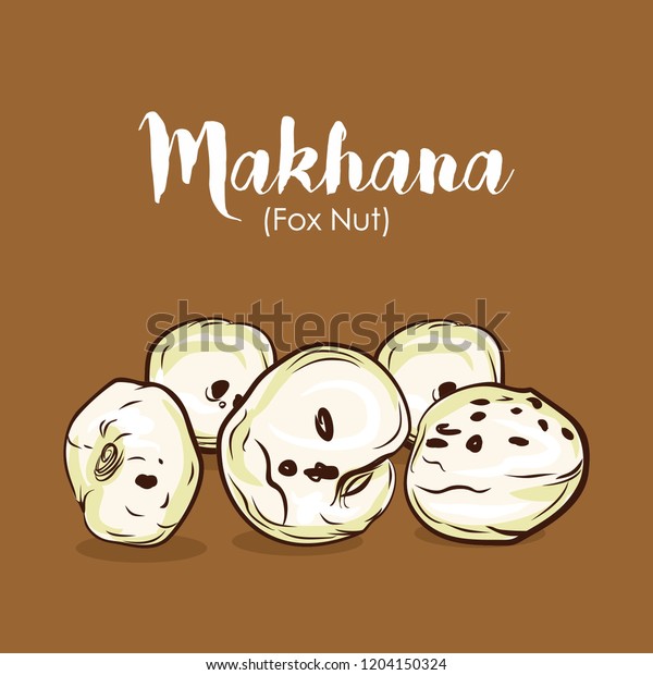 Makhana Vector Fox Nut Roasted Lotus Stock Vector (Royalty Free) 1204150324