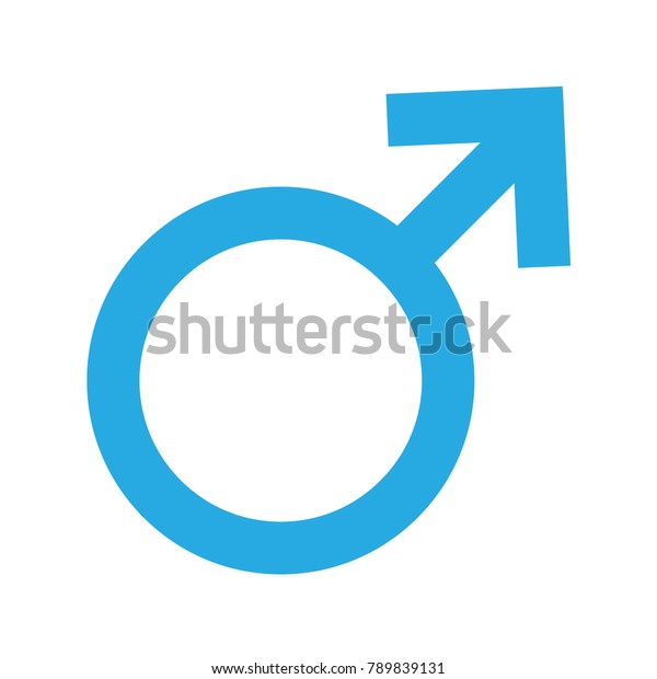 Male Gender Icon Stock Vector (Royalty Free) 789839131