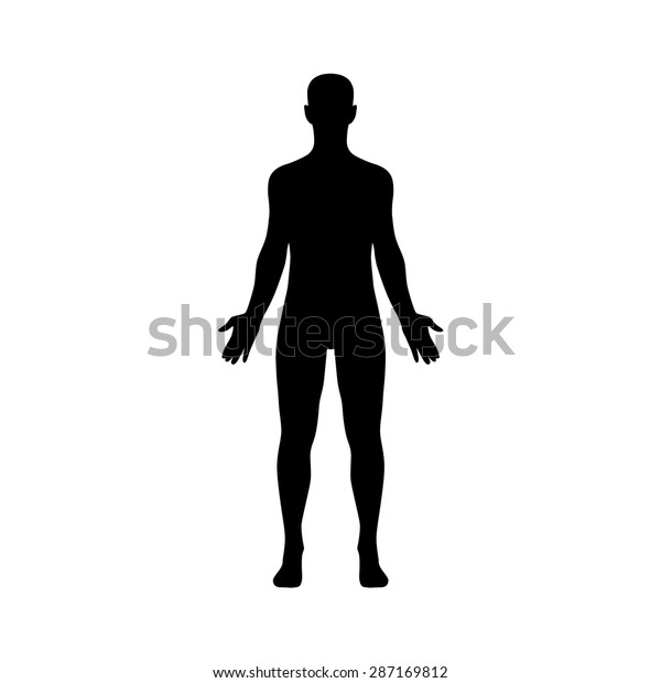 Male Human Body Flat Vector Icon Stock Vector (Royalty Free) 287169812