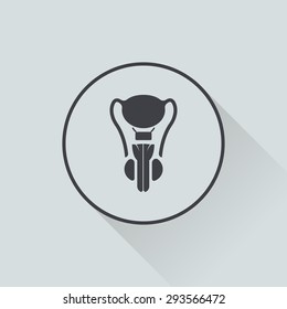 128 Scrotum images Images, Stock Photos & Vectors | Shutterstock