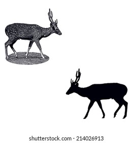 1,610 Spotted deer drawing Images, Stock Photos & Vectors | Shutterstock