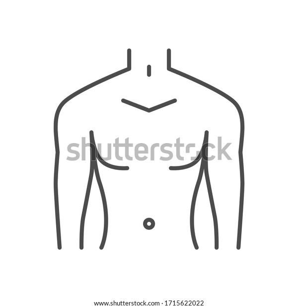 Male Torso Related Vector Thin Line Stock Vector (Royalty Free ...