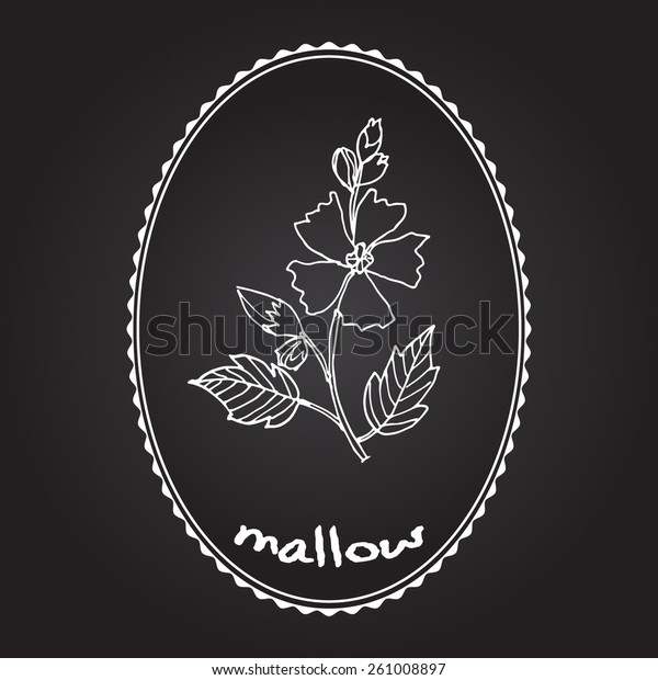 Mallow Flowers Vector Illustration Stock Vector (Royalty Free ...