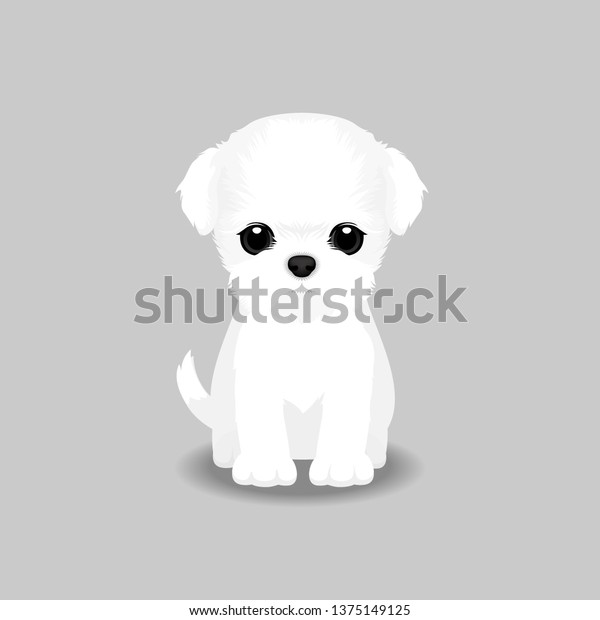 Maltese Puppy Vector Illustration Dog Isolated Stock Vector (Royalty ...